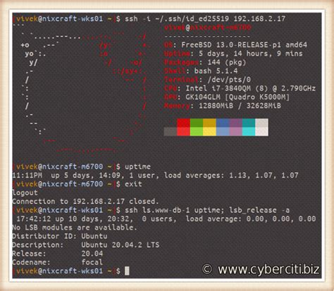 how to force ssh client to use given private key identity file nixcraft