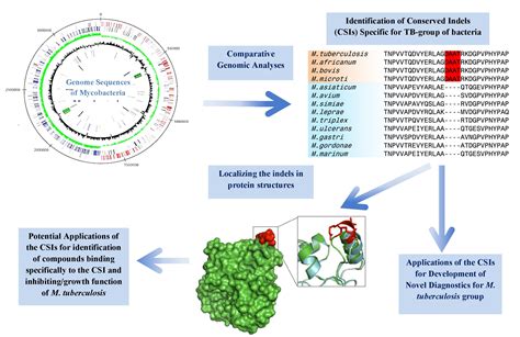 High Throughput Free Full Text Impact Of Genomics On Clarifying The