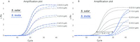 Compas Pcr Principles Asymmetric Concentration Effect For 5s Rdna Qpcr