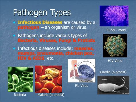 Ppt Chapter 21 Powerpoint Presentation Free Download Id 1395565