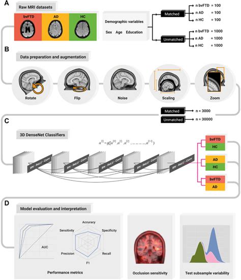 Visual Deep Learning Of Unprocessed Neuroimaging Characterises Dementia