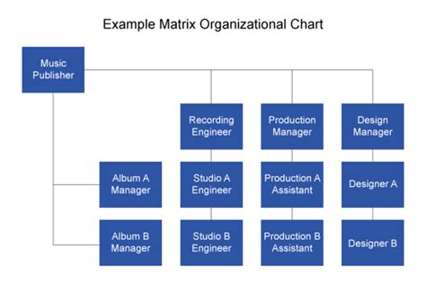 8 Types Of Organizational Structures [ Downloadable Org Chart