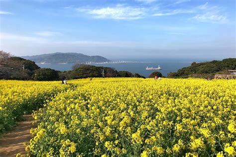 カップルにおすすめの福岡デートスポット トップ 10 カップルで楽しめる福岡の魅力溢れる観光スポットガイド Go Guides