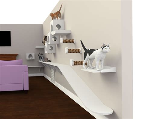 Catification Makeover The Ultimate Cat Superhighway For The Two Crazy