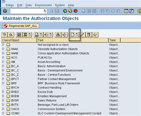 custom auth objects sap security pages