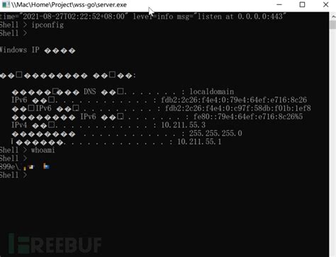 wss go：基于 golang 的 websocket with ssl 的反向 shell freebuf网络安全行业门户