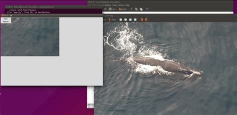 python tkinter canvas doesn t show entire photo image stack overflow