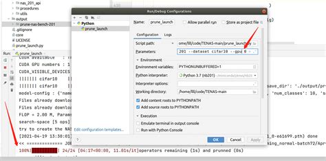 segment fault when execute prune launch py in bash while no error in