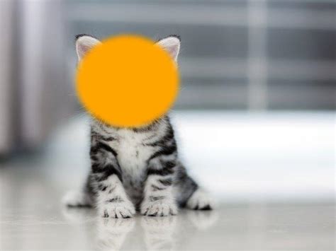 python how to blur an ellipse with imagedraw stack overflow