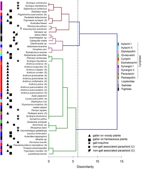 dendrogram depicted by the hierarchical cluster analysis