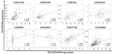 Spearmans Correlation Analysis Of Slc22a18 And Slc22a18as Expression