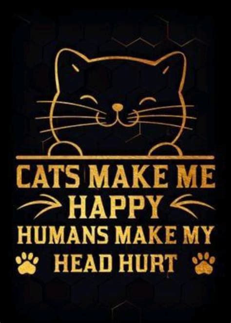 10 Hilariously Strange Missing Cat Posters That Ll Make You Stop And