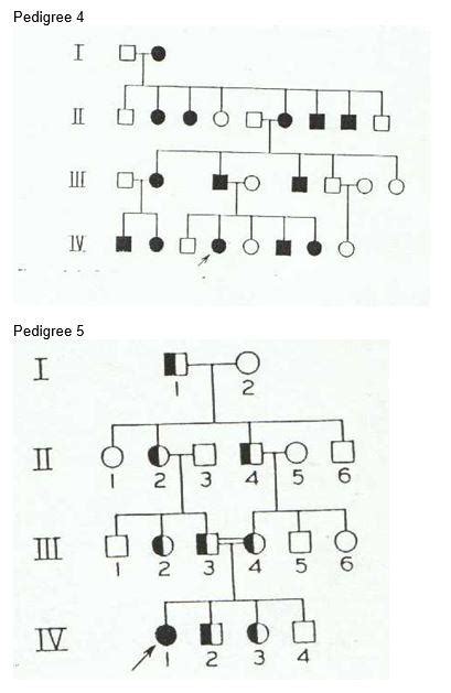 Solved For The Following Pedigrees Determine If They Are An