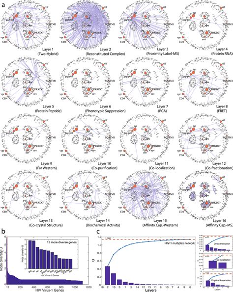 Analysis Of The Multiplex Network Of The Human Hiv 1 Virus Protein