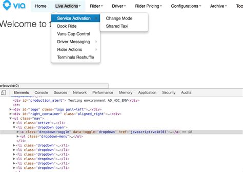 selenium error element should have been select but was div