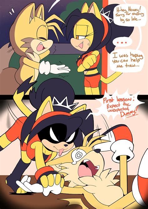 Post 5663878 Comic Honey The Cat Senshion Sonic The Hedgehog Series