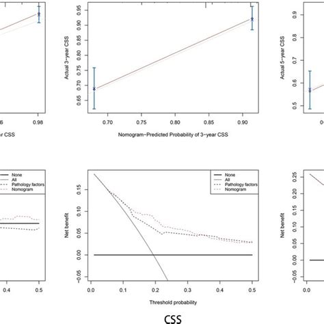 calibration plot and decision curve analysis of nomogram predicted