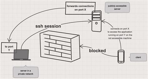 reverse ssh tunnel web server unbrick id
