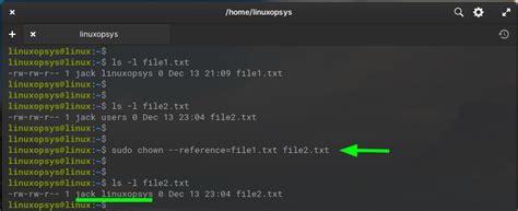 chown command in linux [with examples]