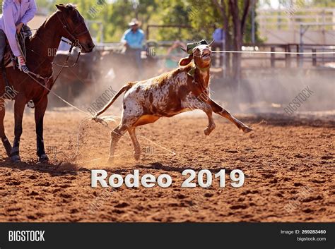 Rodeo 2019 Caption Image And Photo Free Trial Bigstock