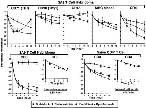 On The Dynamics Of Tcr Cd3 Complex Cell Surface Expression And