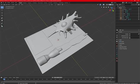 Human Neuron Model Cross Section On Stand 3d Model 49 3ds Blend