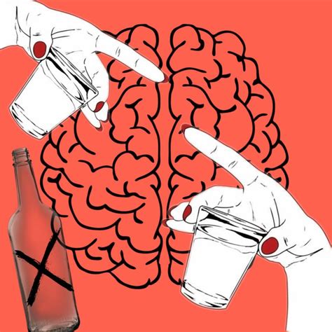 How Alcohol Affects The Developing Brain – The Wingspan