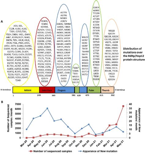 The Details Of The Mutation Identified In Rdrp Among Indian Sars Cov 2