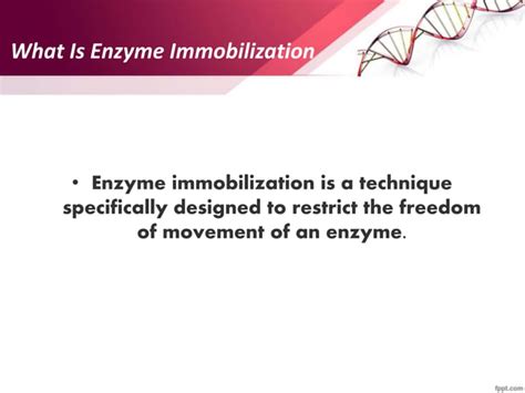 Enzyme Immobilization Advantages And Disadvantages With Method Of