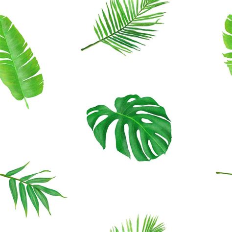 Tropical Leaves Seamless Pattern 25765517 Vector Art At Vecteezy
