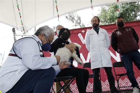 Inicia Sedesa Jornada Nacional De Vacunación Antirrábica Canina Y