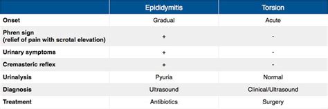 Epididymitis Vs Testicular Torsion Emergency Medicine Nursing