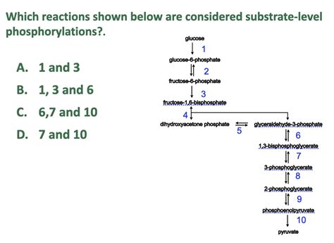 Solved Which Glycolysis Reactions Shown Below Are “energy Capture