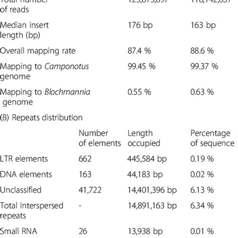 Quantitative Overview On The Transcriptome Sequencing Data A Illumina