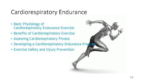 Cardiorespiratory Endurance Cardiorespiratory Endurance Basic