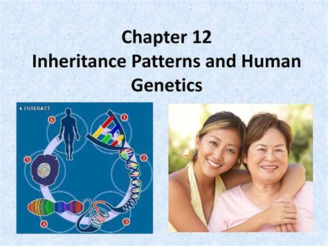 Chapter 12 Inheritance Patterns And Human Genetics Ppt Download