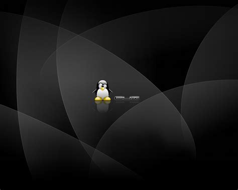 black wallpapers for windows noobslab tips for linux ubuntu