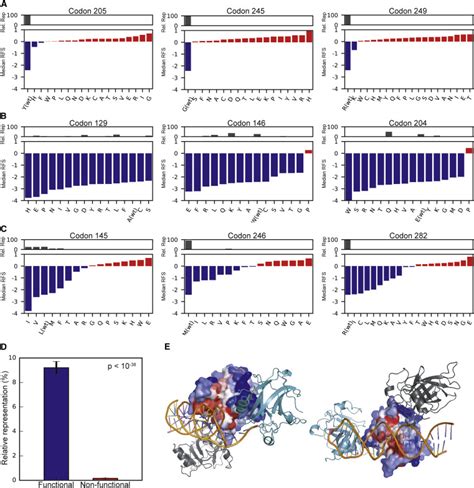 A Systematic P53 Mutation Library Links Differential Functional Impact
