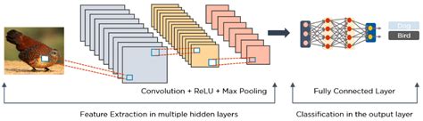 Top 10 Deep Learning Algorithms You Should Know In 2024