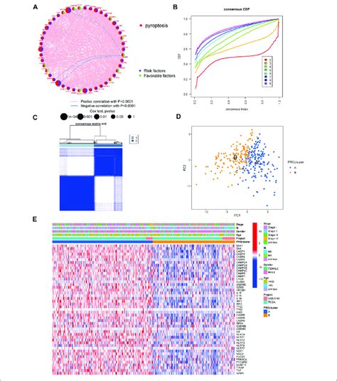 unsupervised cluster analysis divided kirp patients into subclusters