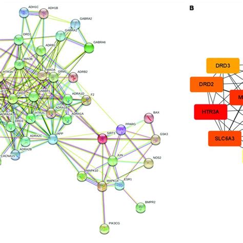 Protein Protein Interaction Ppi Network And Hub Gene Screening Map