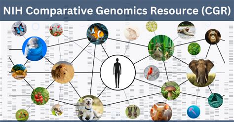 Revolutionize Your Research With The Nih Comparative Genomics Resource