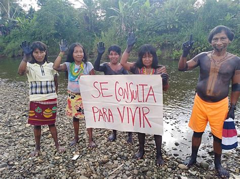 Impacto De La Pandemia En Los Pueblos Indígenas De Colombia Se Da A