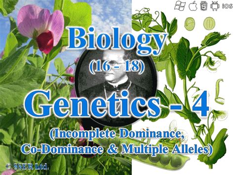 Genetics 4 Incomplete Dominance Codominance And Multiple Alleles