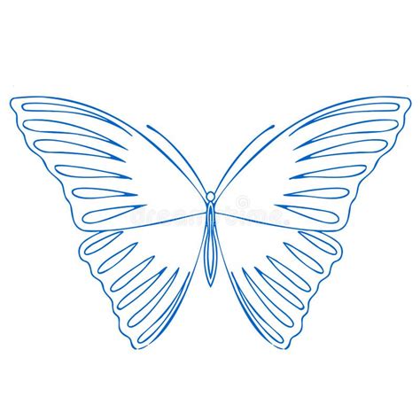 Butterfly Contour Vector Drawing Insect Butterfly Coloring Book Stock