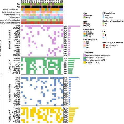 Mutational Landscape For 23 Gc Patients At Baseline And At Pd Only Top