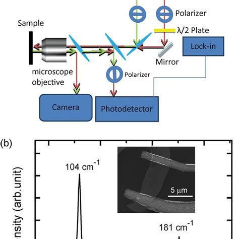 A Schematics Of The Femtosecond Pump Probe Reflectivity Measurements