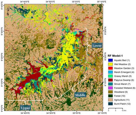 remote sensing free full text mapping the dabus wetlands ethiopia