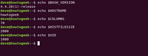 how to set environment variables in bash on linux