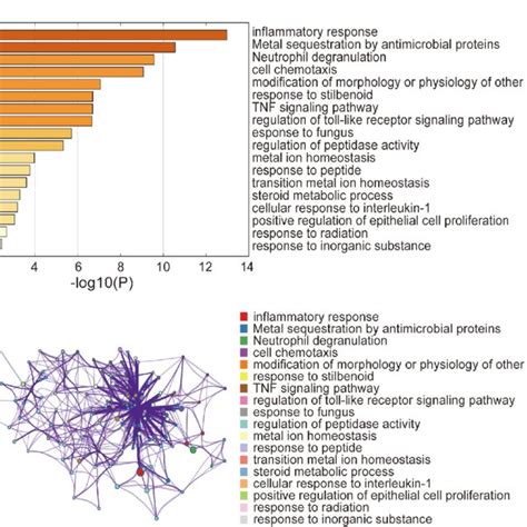 Function Enrichment Analysis For Differentially Expressed Genes